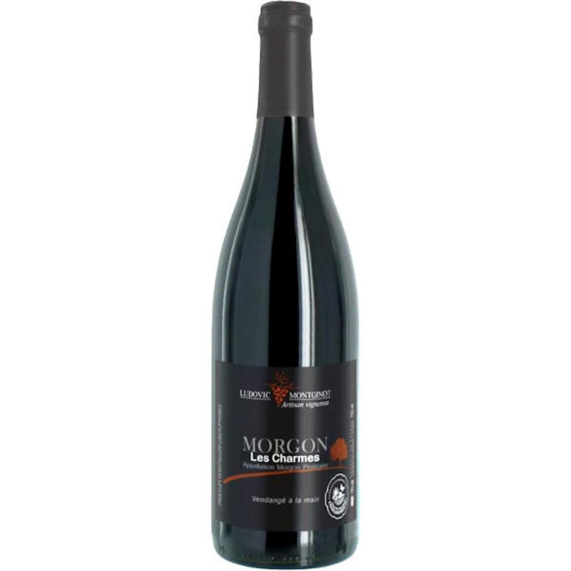 Ludovic Montginot Morgon Les Charmes Gamay Noir 2021 - Fine Wine ...